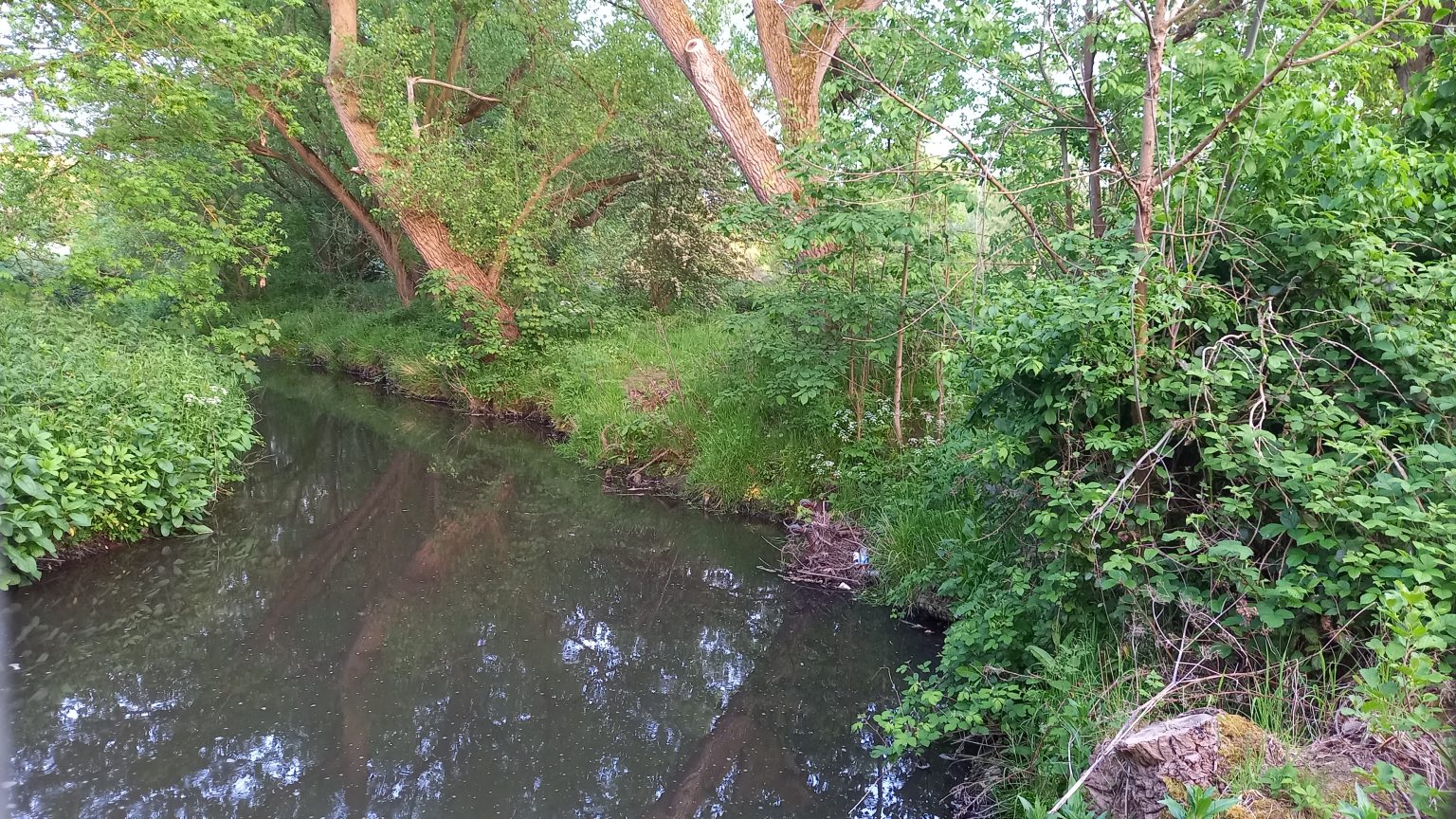 Netherwood visit 24 May 2023 - Barnsley Nats